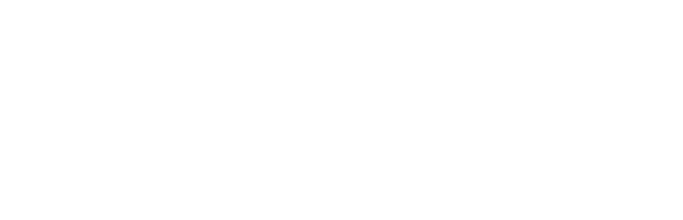 Minerva AI | Cyberknight